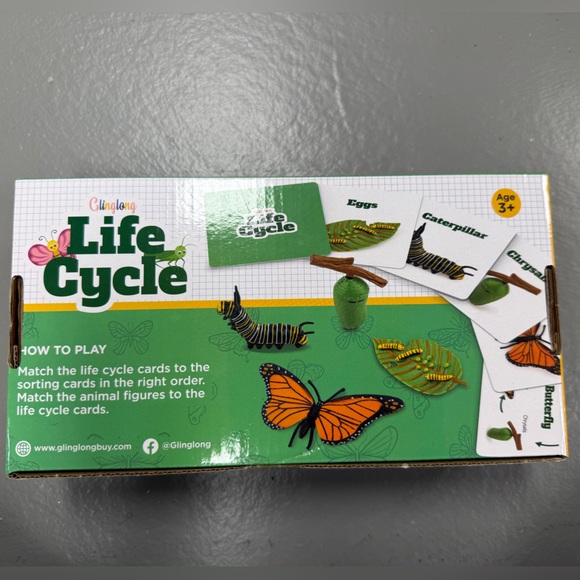 Toys | Life Cycle Matching Cards | Poshmark